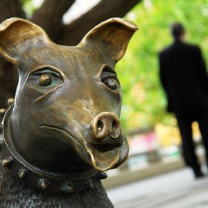 When Grungle met Larry - Inside artist Pamela Irving's studio